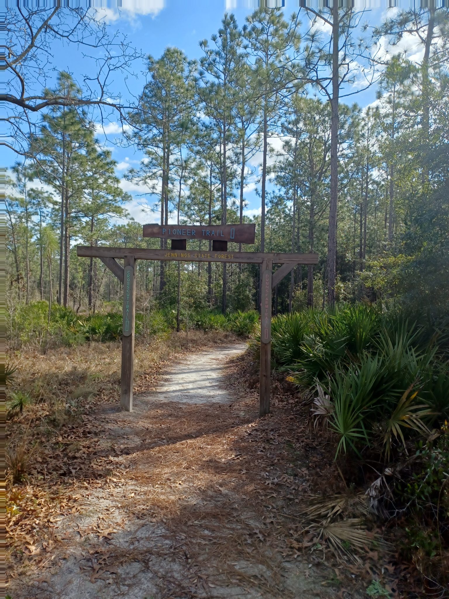 A Cycling Journey at Jennings State Forest - Clay County