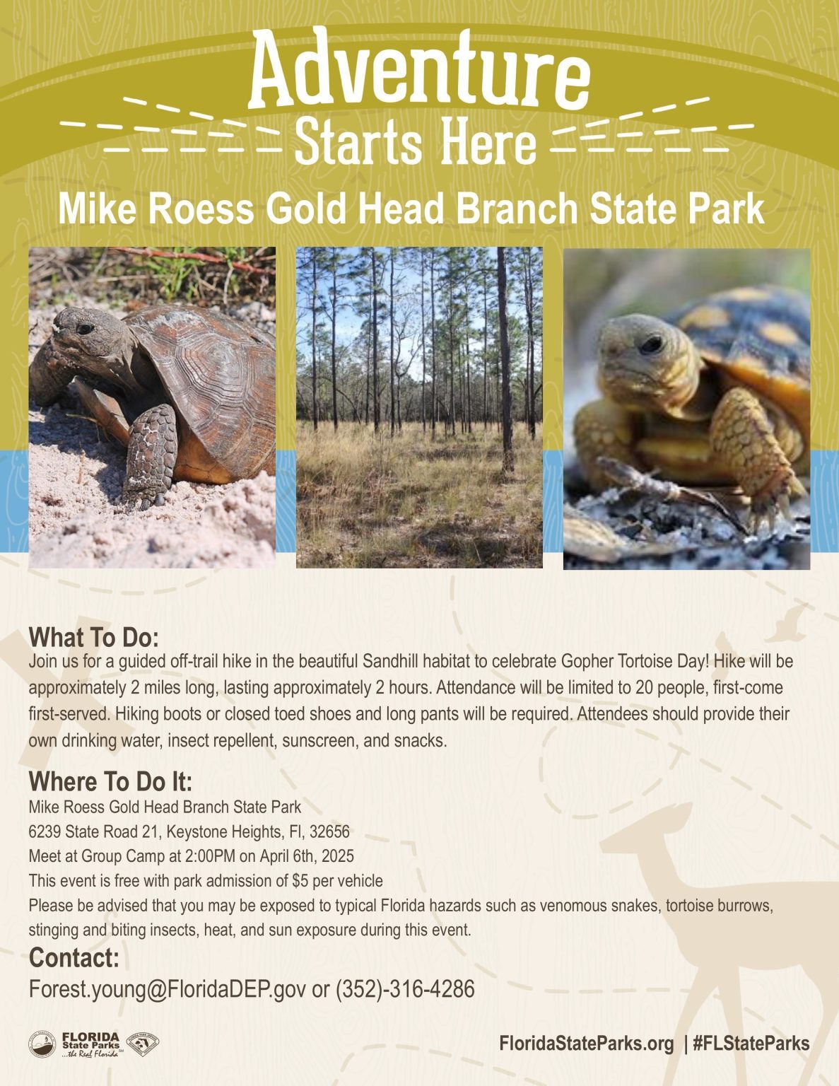 Gopher Tortoise Day Hike - Clay County
